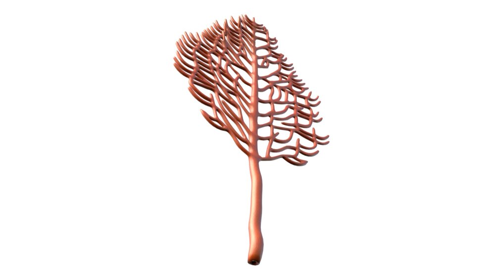 Red Stylized Ocean Seaweed 3D model - Download Landscapes on 3DModels.org