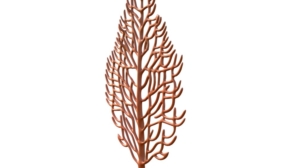 Red Stylized Ocean Seaweed 3D model - Download Landscapes on 3DModels.org
