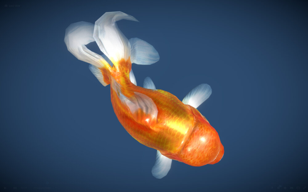 Animated Lowpoly Oranda Goldfish 3D model - Download Fish on 3DModels.org